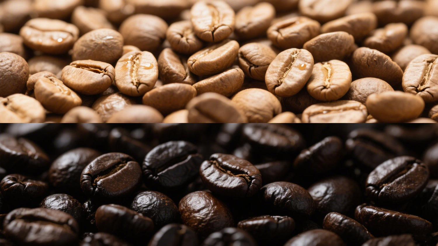 From Bean to Brew: The Science of Roasting Profiles (Light vs. Dark Ro